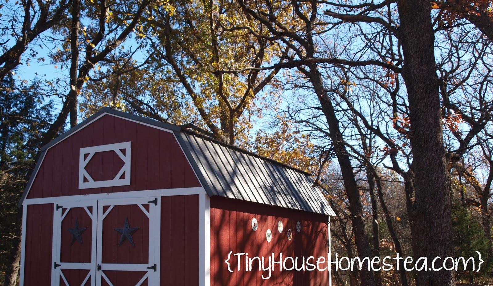 Tiny House Homestead: A Beautiful Fall Day on the Homestead