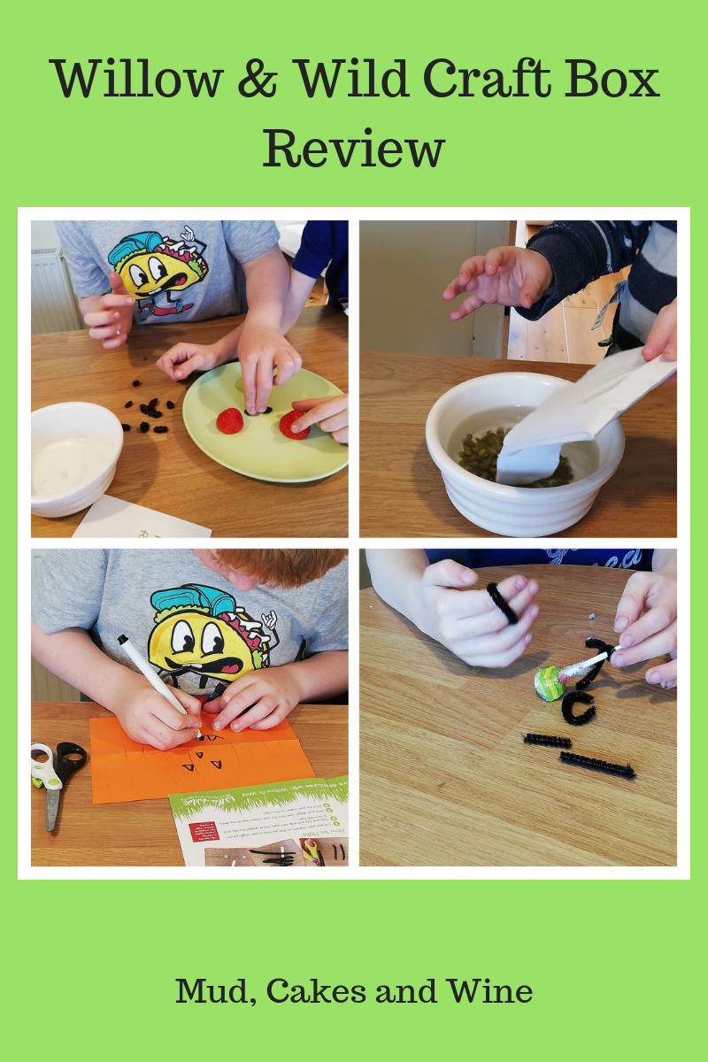 Willow & Wild Craft Box Review