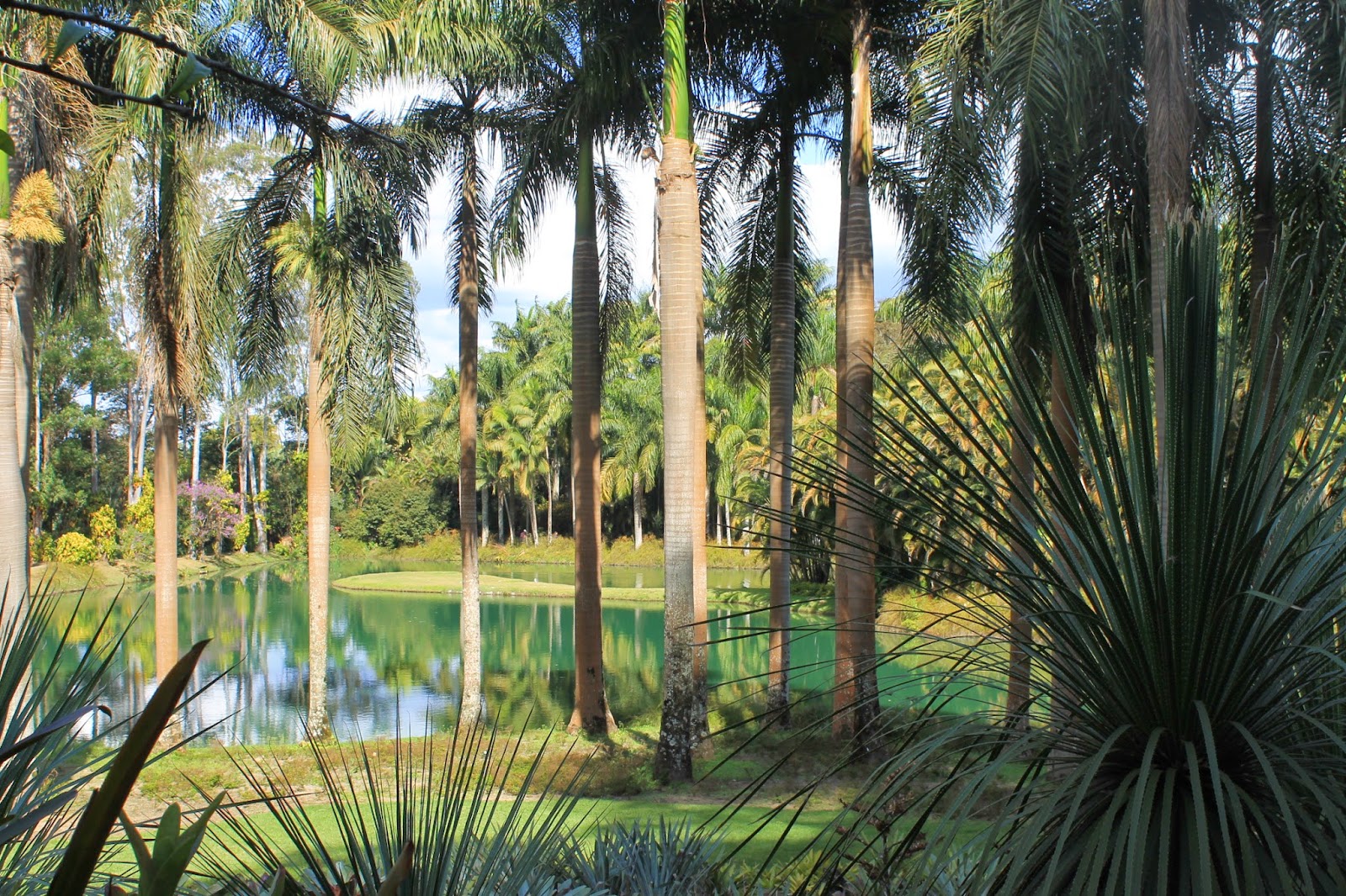 INHOTIM - MARAVILHOSO MUSEU DE ARTE CONTEMPORÂNEA E JARDIM BOTÂNICO ...