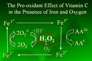 rethinking allowed: How Vitamin C Fights Cancer: Scientific Explanation ...