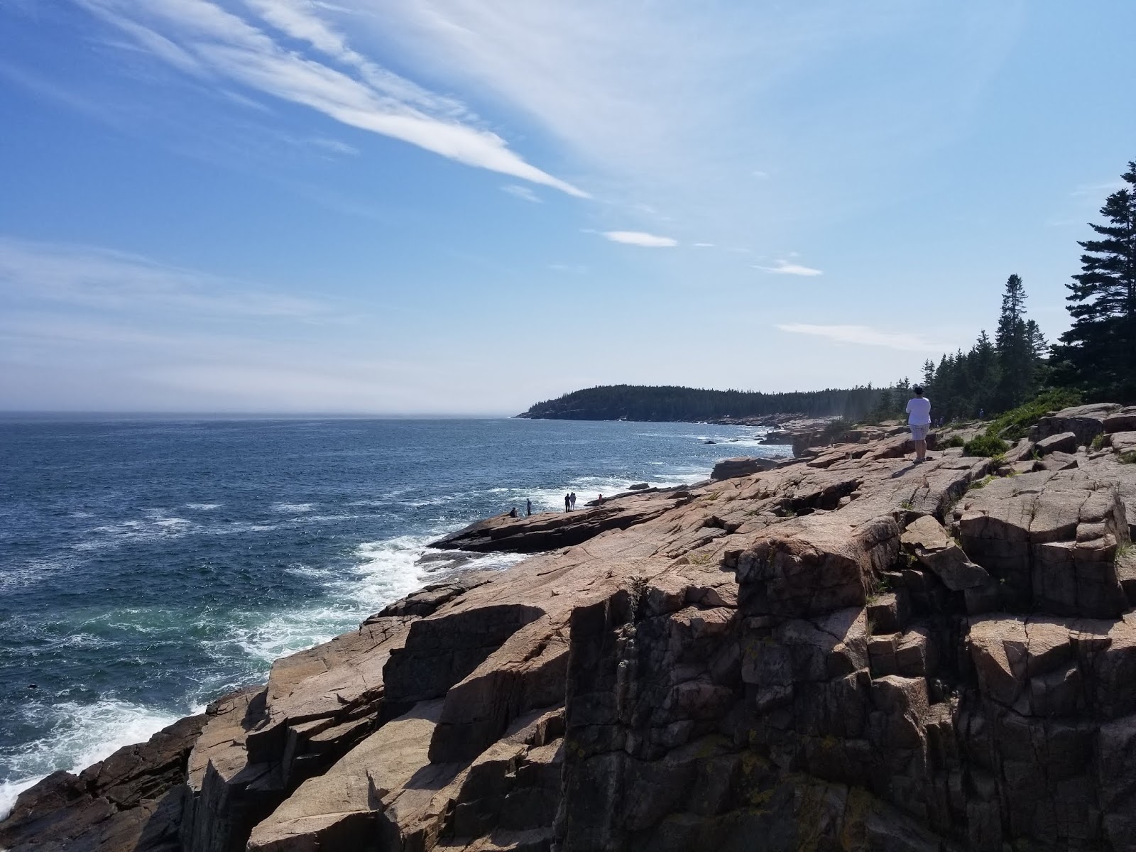 Wilderness Wanderings: Wild Gardens Trail + Ocean Path Trail (Acadia NP)