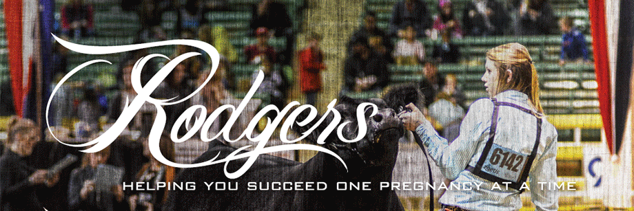 RCC Blog: Rodgers Bulls