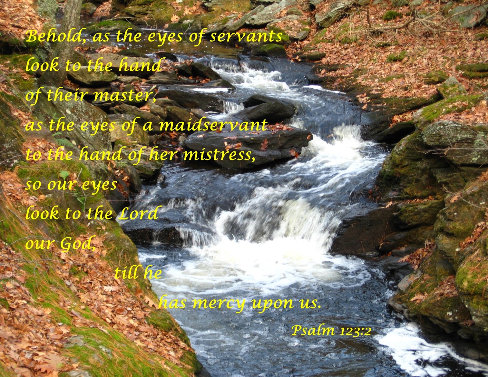 Scarlet Robe Scripture Verses: 2016