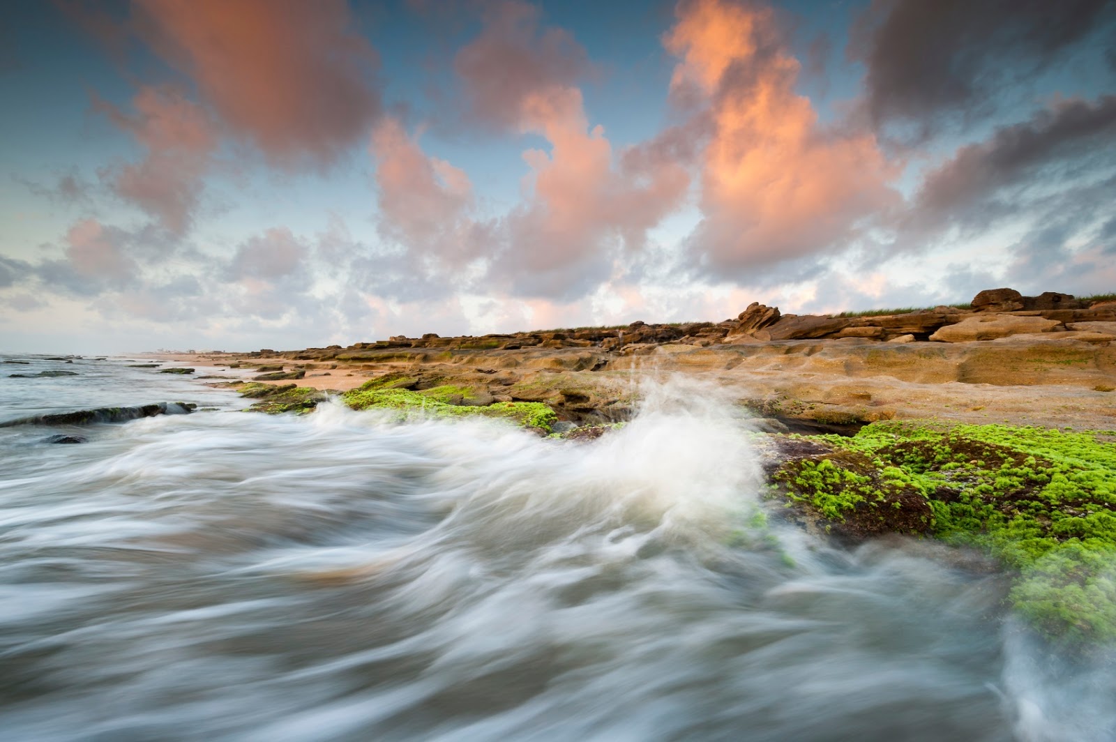 Collard Patch: Jodi Hockinson, Narrator of The Courtship of Miss ...