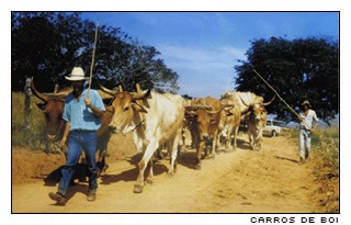 Blog do Pastor Túlio: Seja você! (Juízes 3.31)