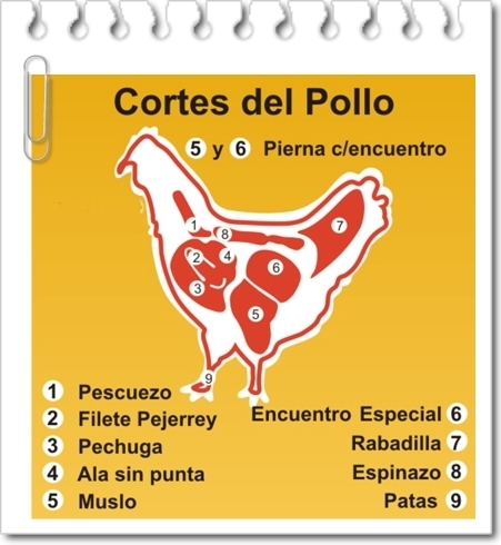 Valle Del Gallo: CORTES DE CARNE DE POLLO/ CHICKEN MEAT CUTS