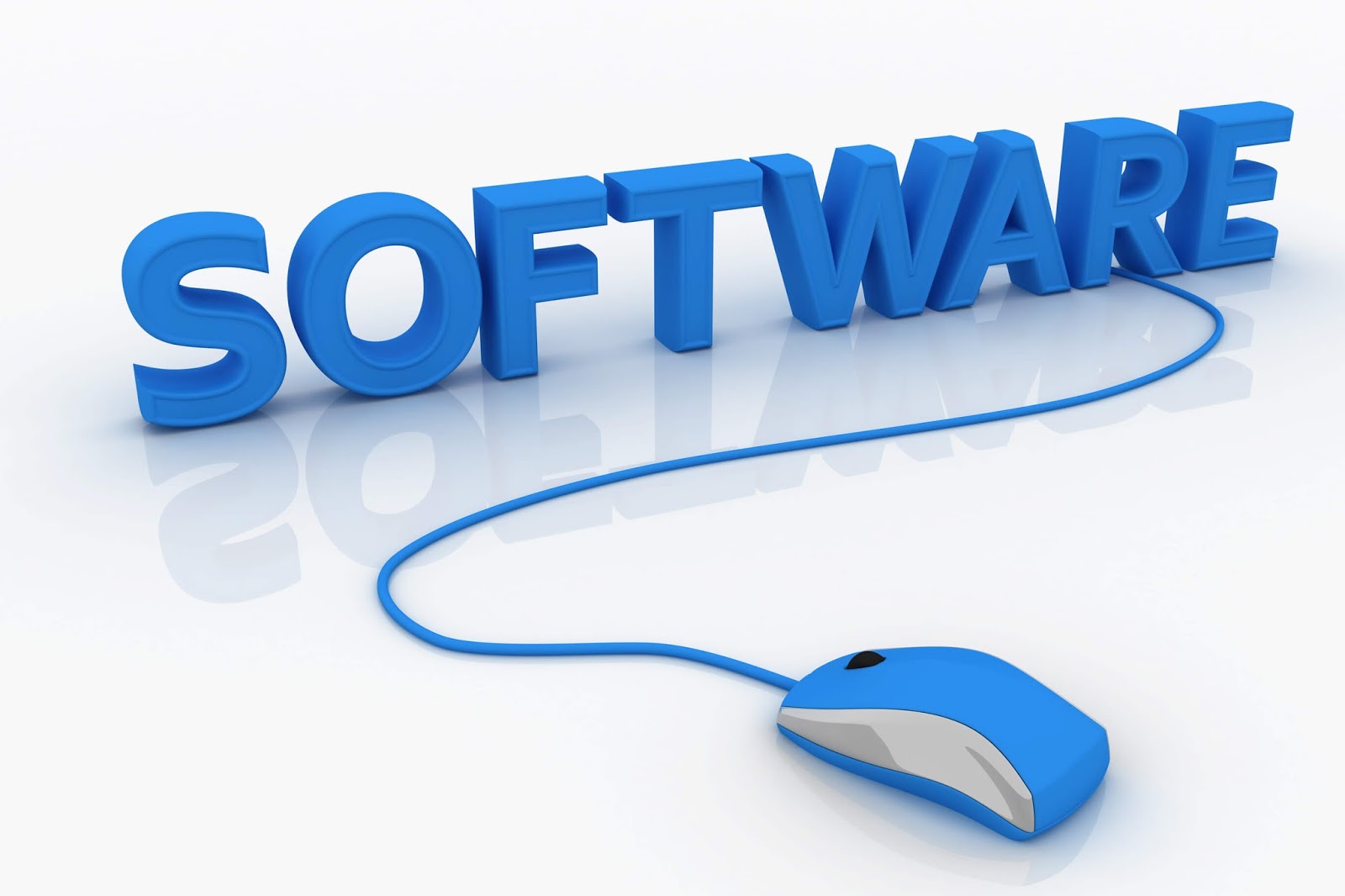 Information System Software System