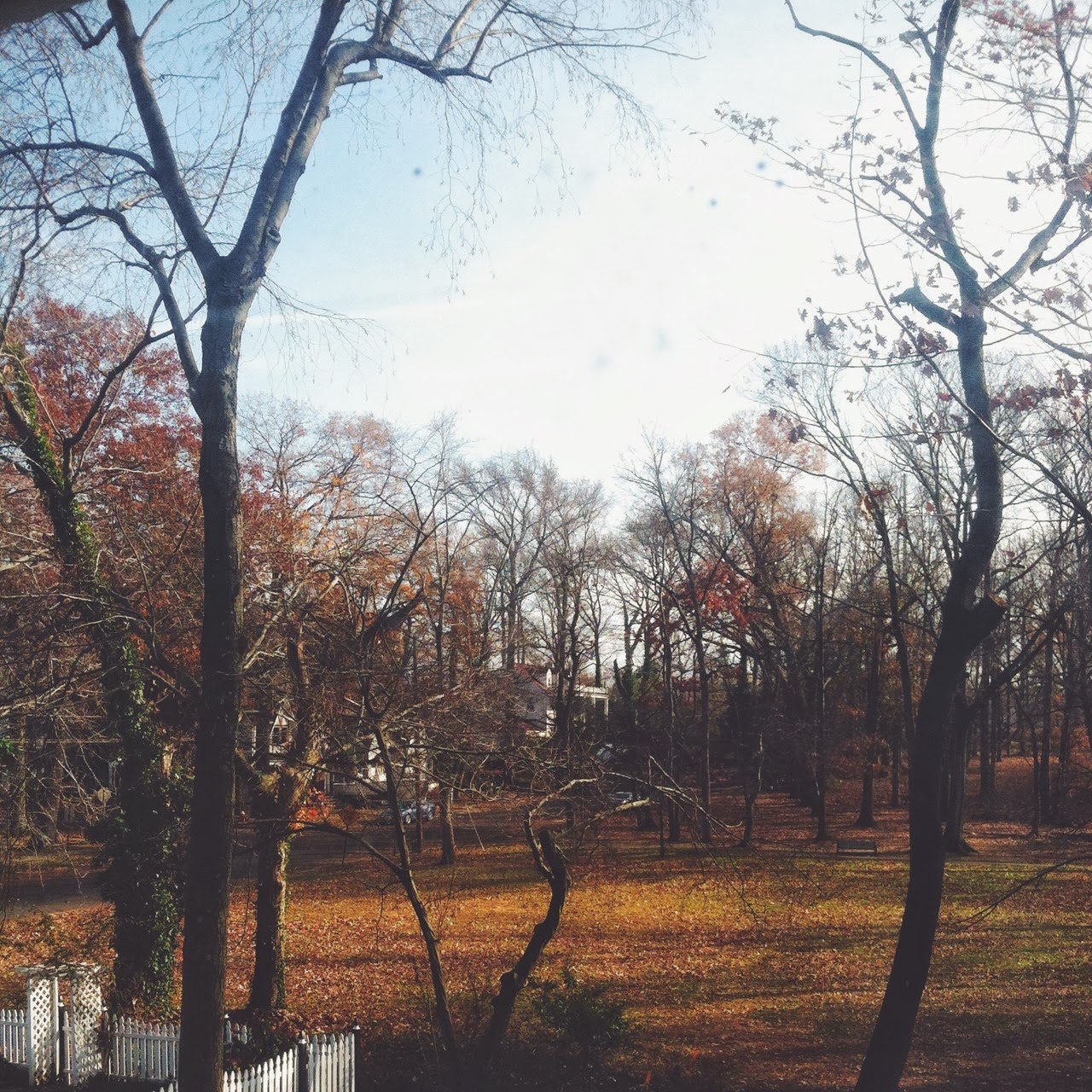 HAPPY FALL (AM I A LITTLE LATE FOR THIS?)!