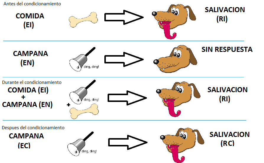 condicionamiento clásico