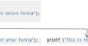 Active Hub 2: Understanding Fork