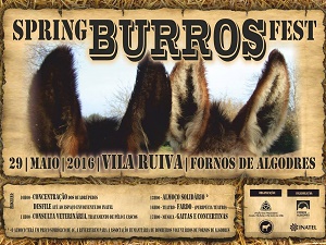 Verão Verde: 2016-06-05