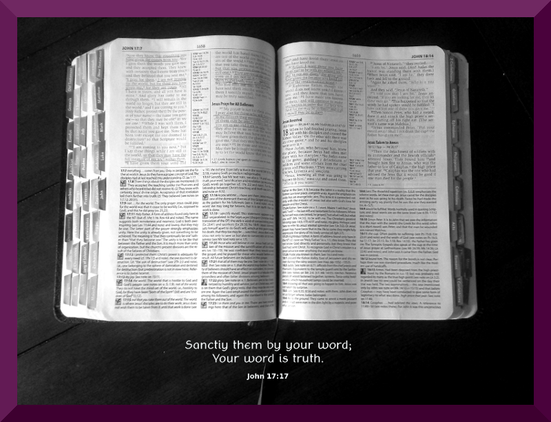 This Grace Wherein We Stand: What Does the Bible Say? This Grace Wherein We Stand: What Does the Bible Say?