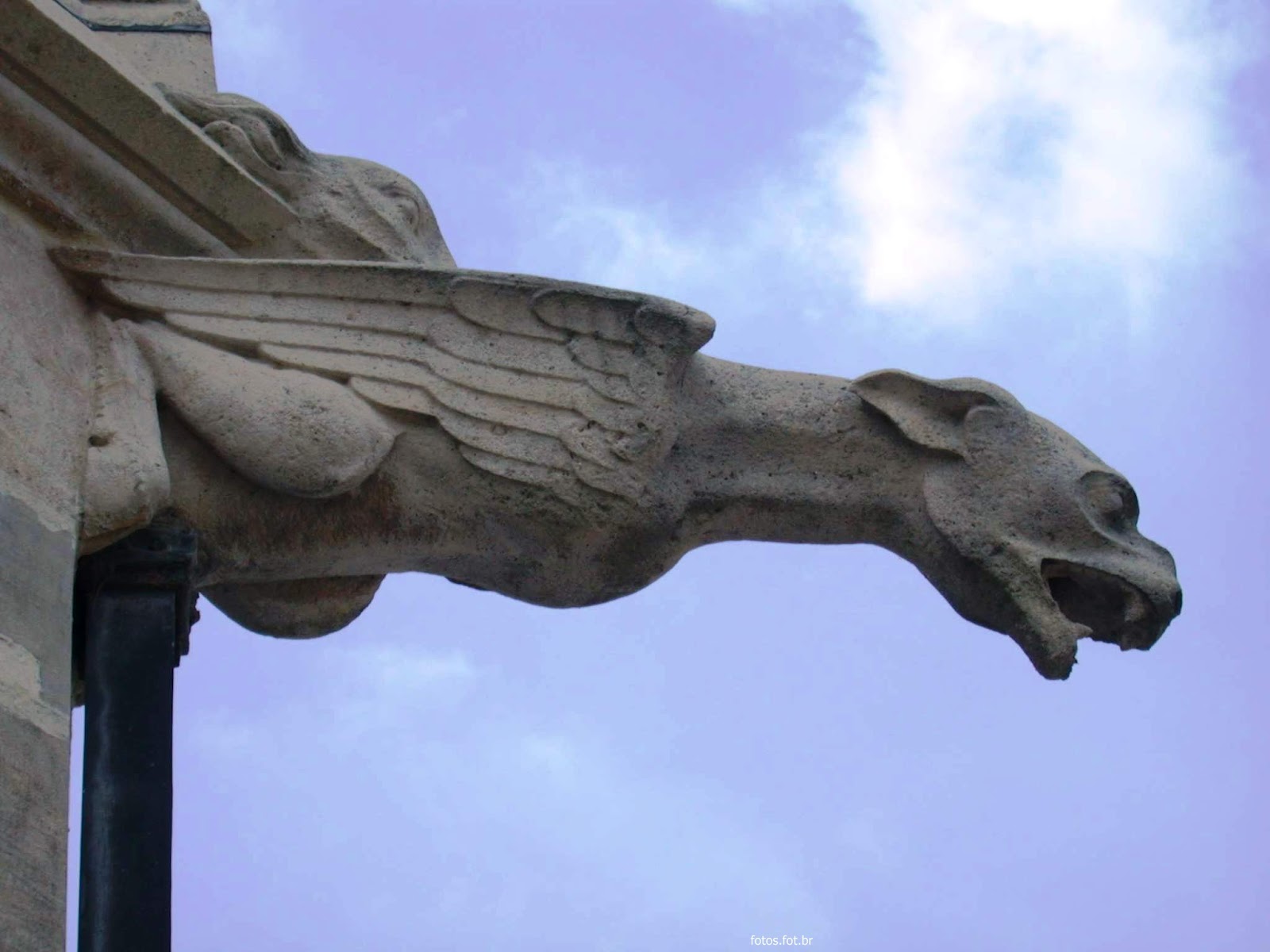 professorbira.com: O que é uma quimera?