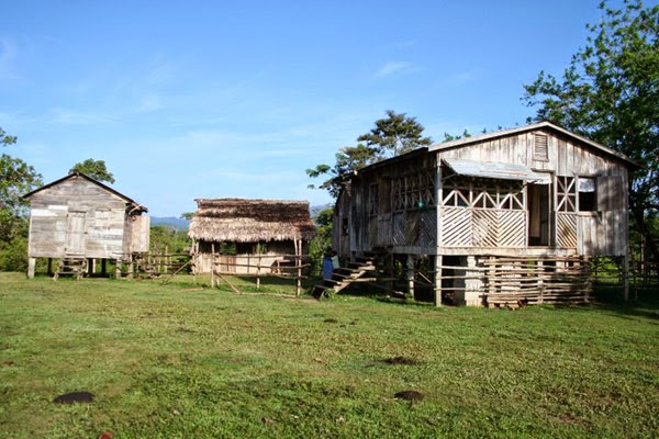 Los Pech y los Tawahkas, su ubicacion y problema social: Los Pech y Los ...