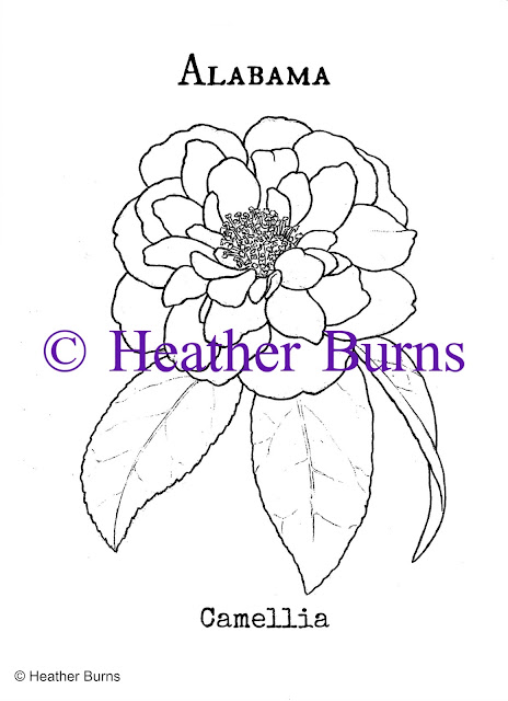 State Flower Coloring Book: Alabama State Flower: Camellia