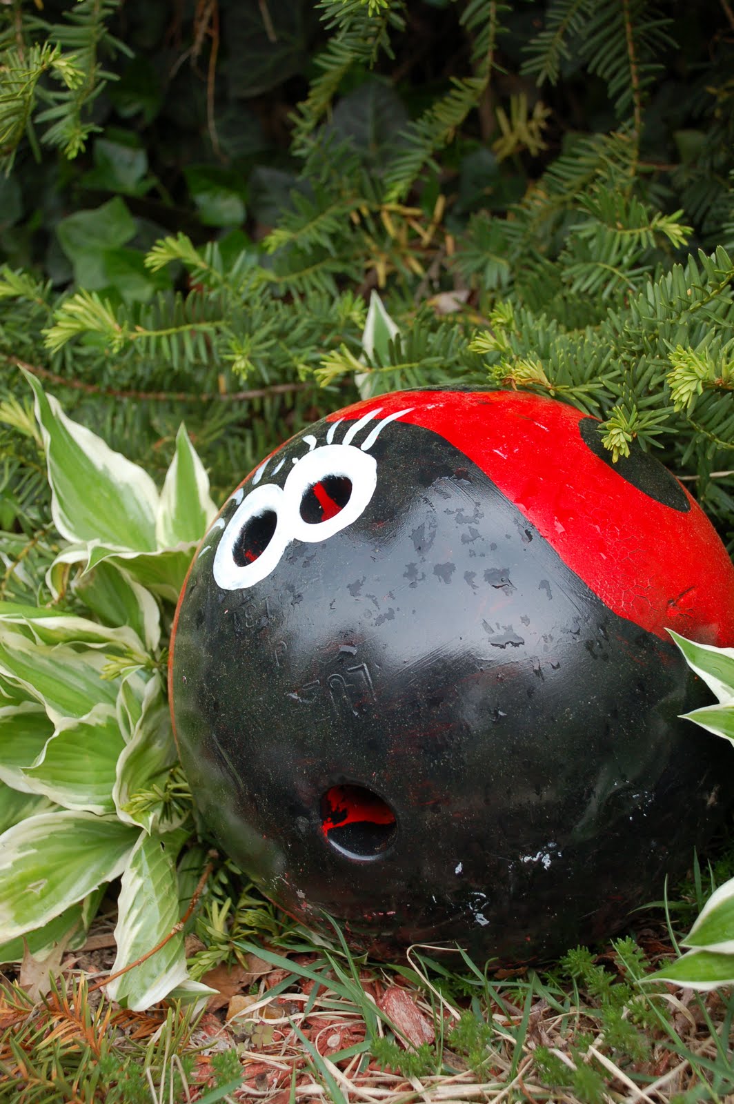 The Land Of LadyBug Heaven: Bowling Ball LadyBugs
