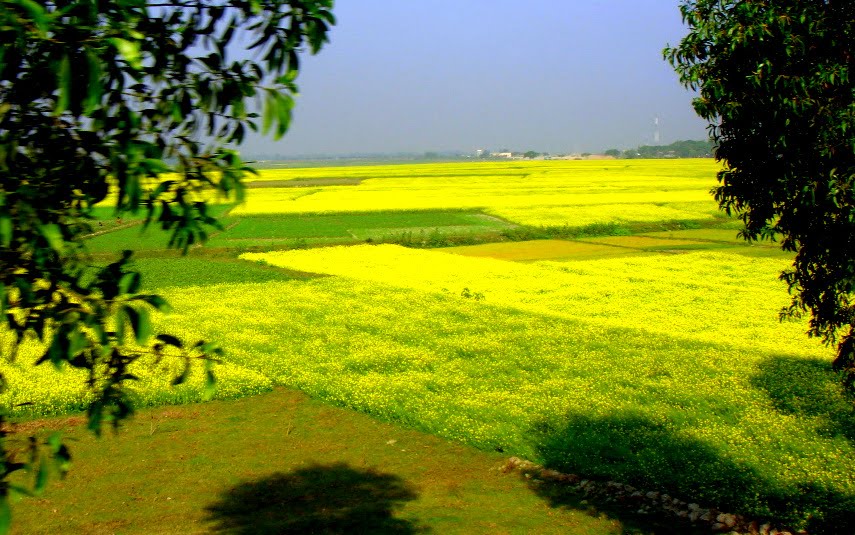 EXPLORE THE WORLD: Brahmanbaria, Bangladesh; Image Gallery