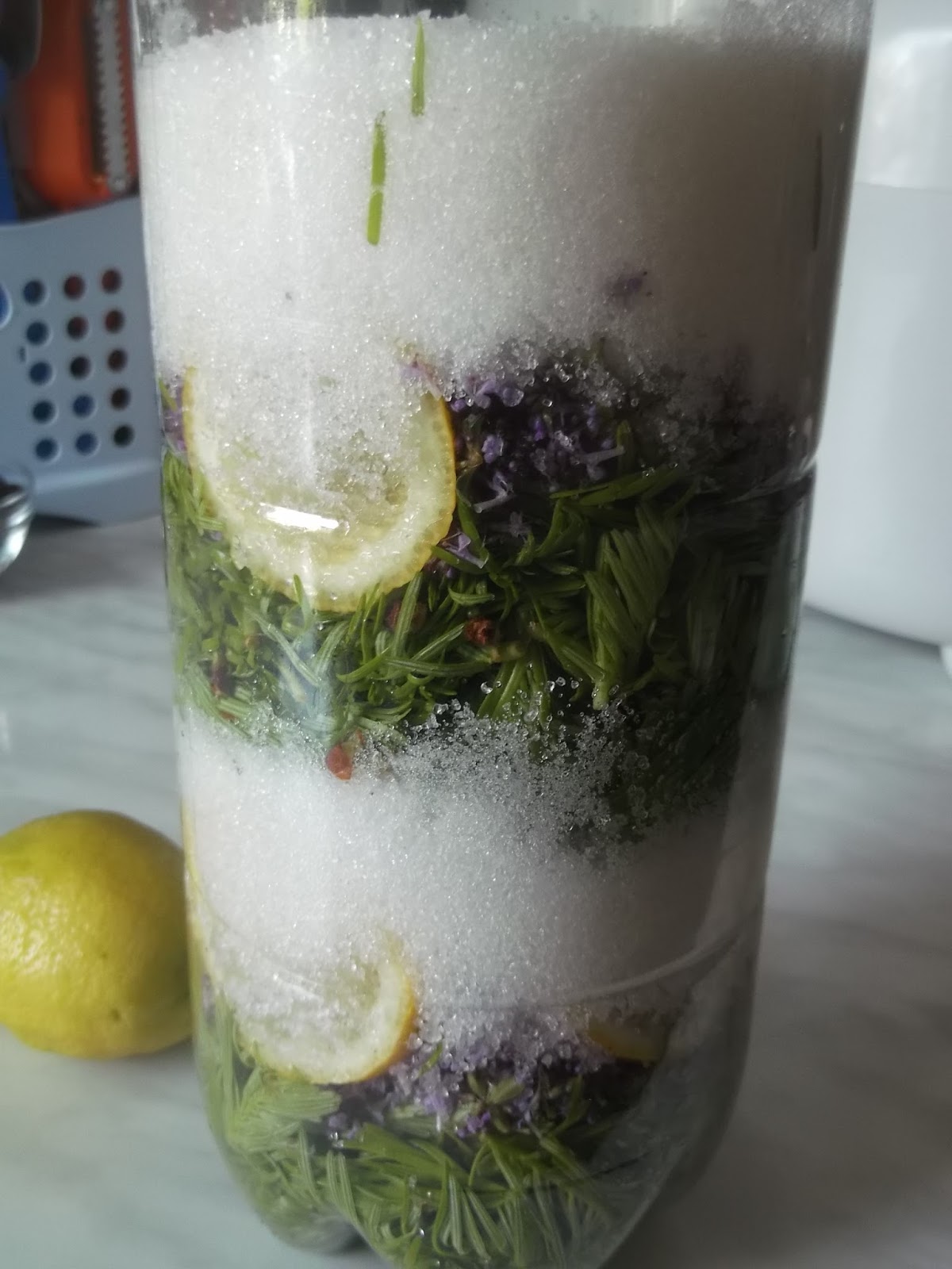 Hellena ...din bucataria mea...: Sirop din cimbrisor de camp si muguri ...