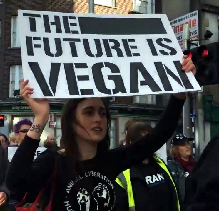 VEGANISM: A TRUTH WHOSE TIME HAS COME: 125+ Photos ~ VEGAN -Signs-of ...