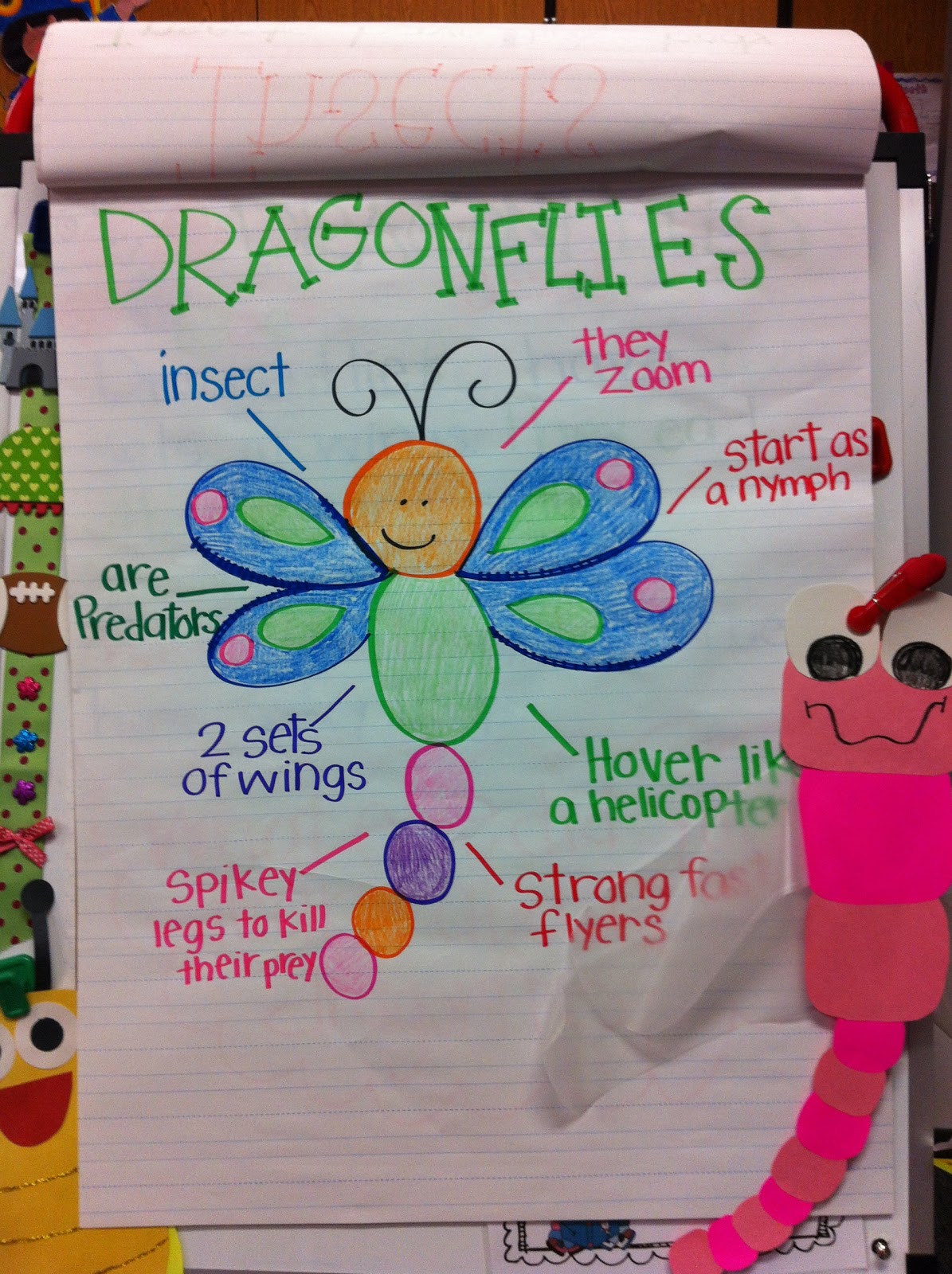 Welcome to Room 36!: insects