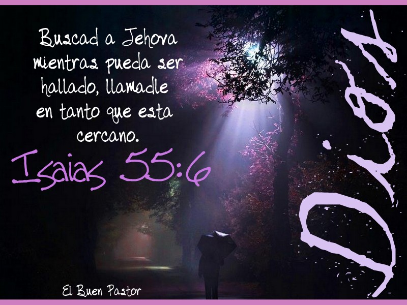 YO SOY EL BUEN PASTOR: Isaías 55:6