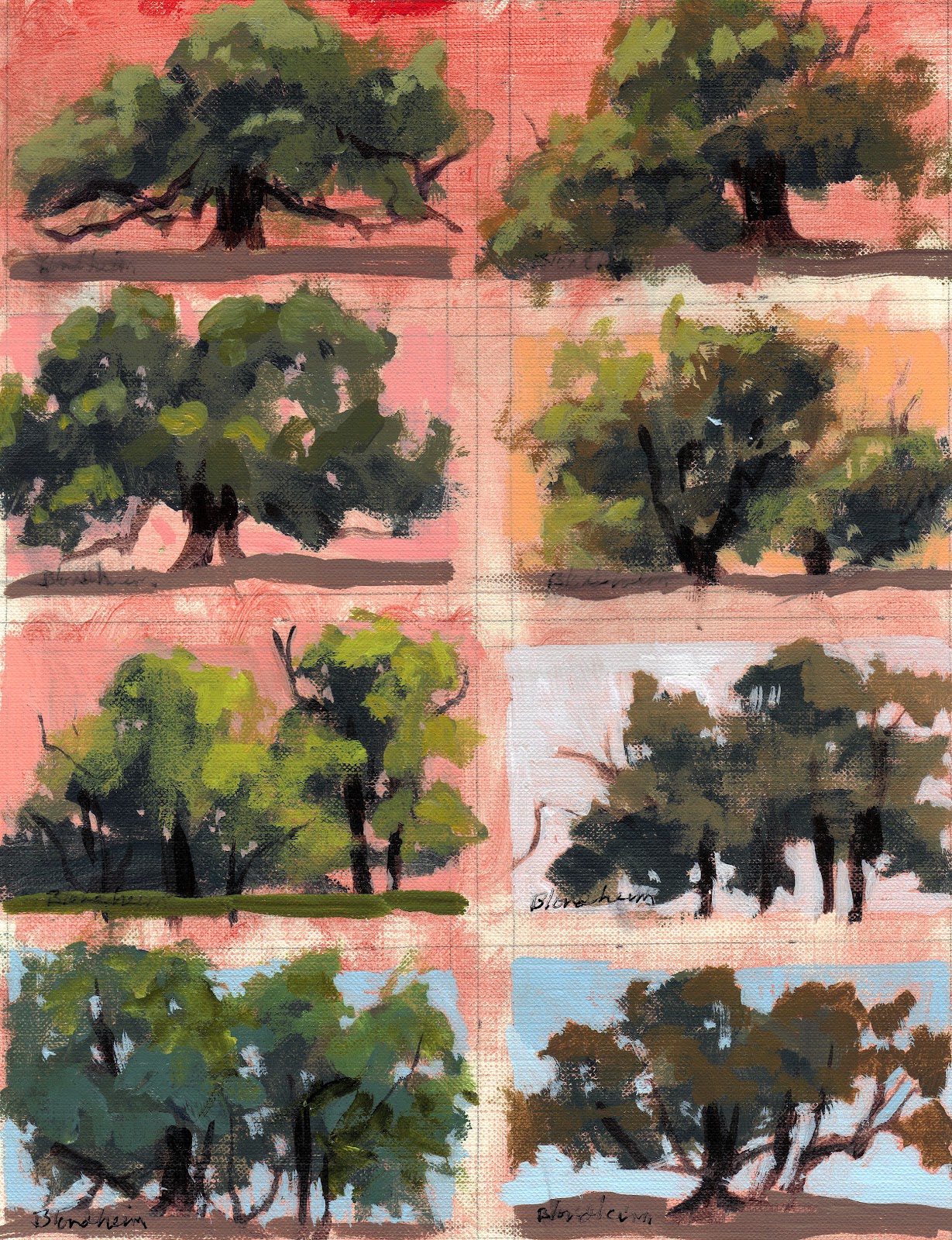 Tree Painter: Tree Workshop,tree studies
