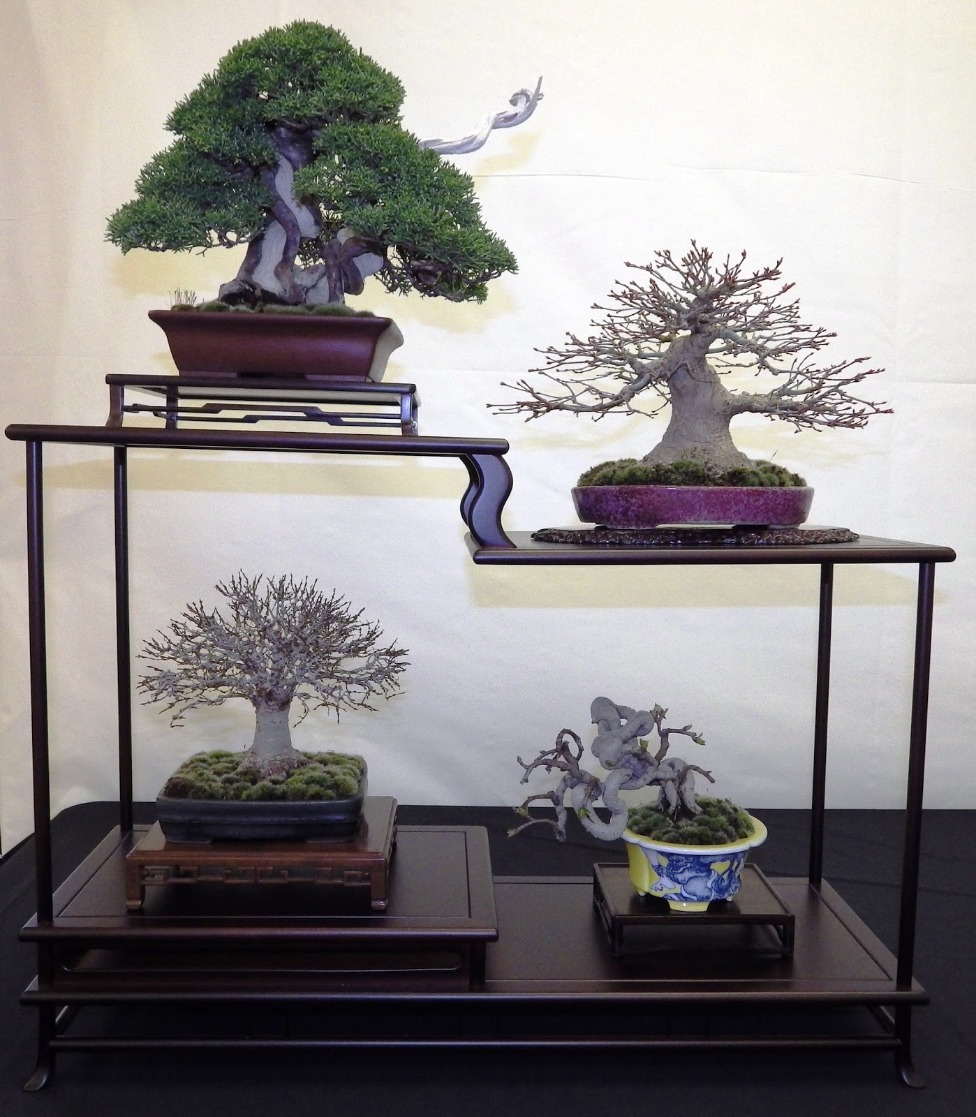 Bespoke Bonsai Stands
