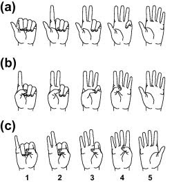 How On Earth Do People Understand Each Other From Different Regions ...