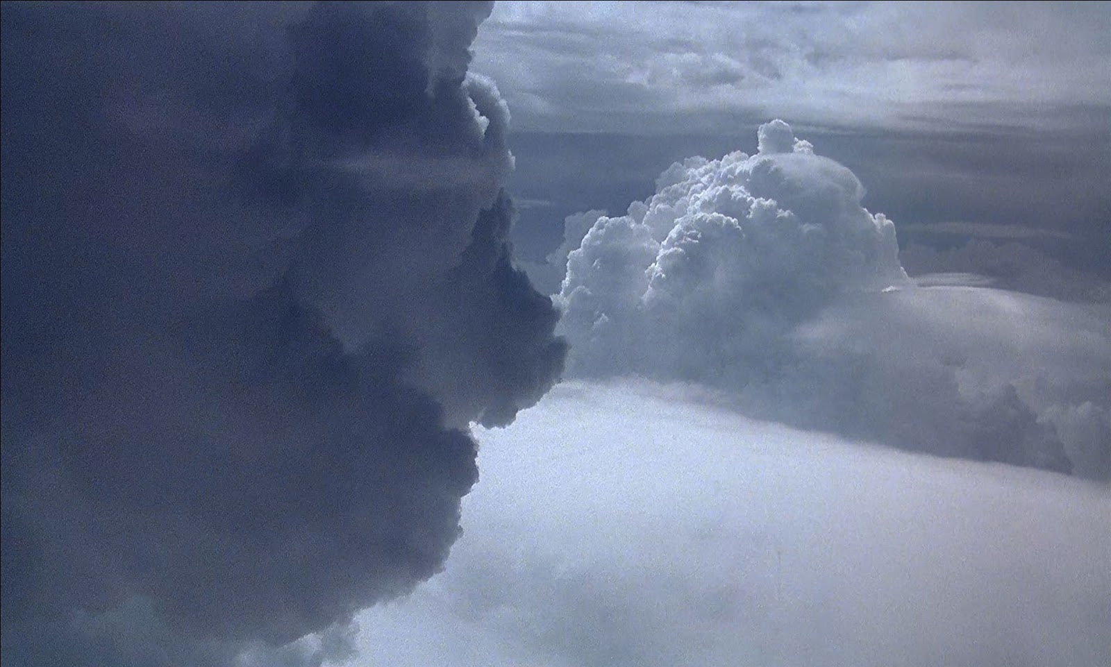 The Beautiful Film Frames: Microcosmos (1996) Blu-Ray Screenshots