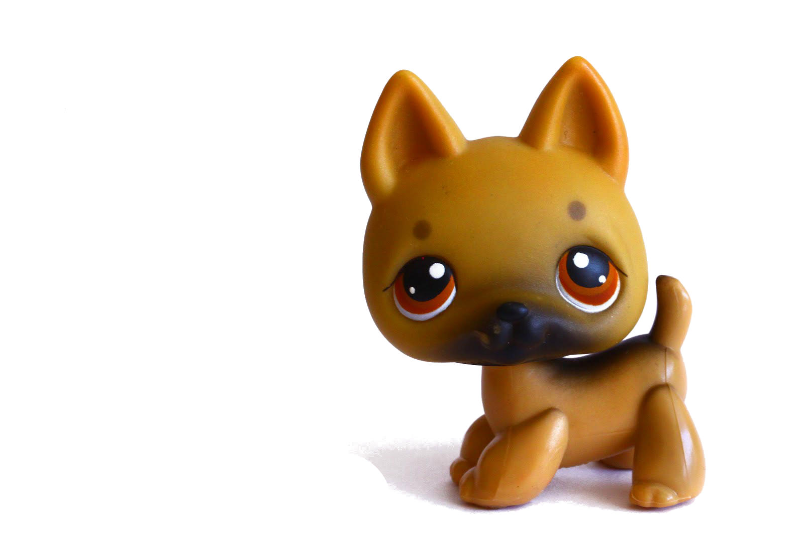 LPS Transparent