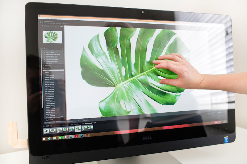 Pomelo: Photo Editing Tips with Intel AIO