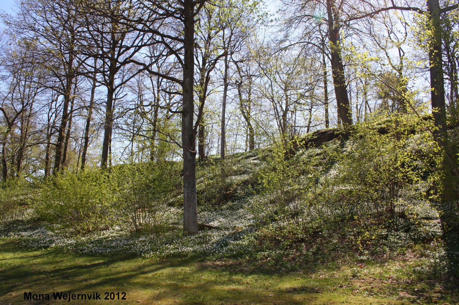 FENIXMONAS BLANDNING: Kall tisdagsmorgon kan ge sol under dagen