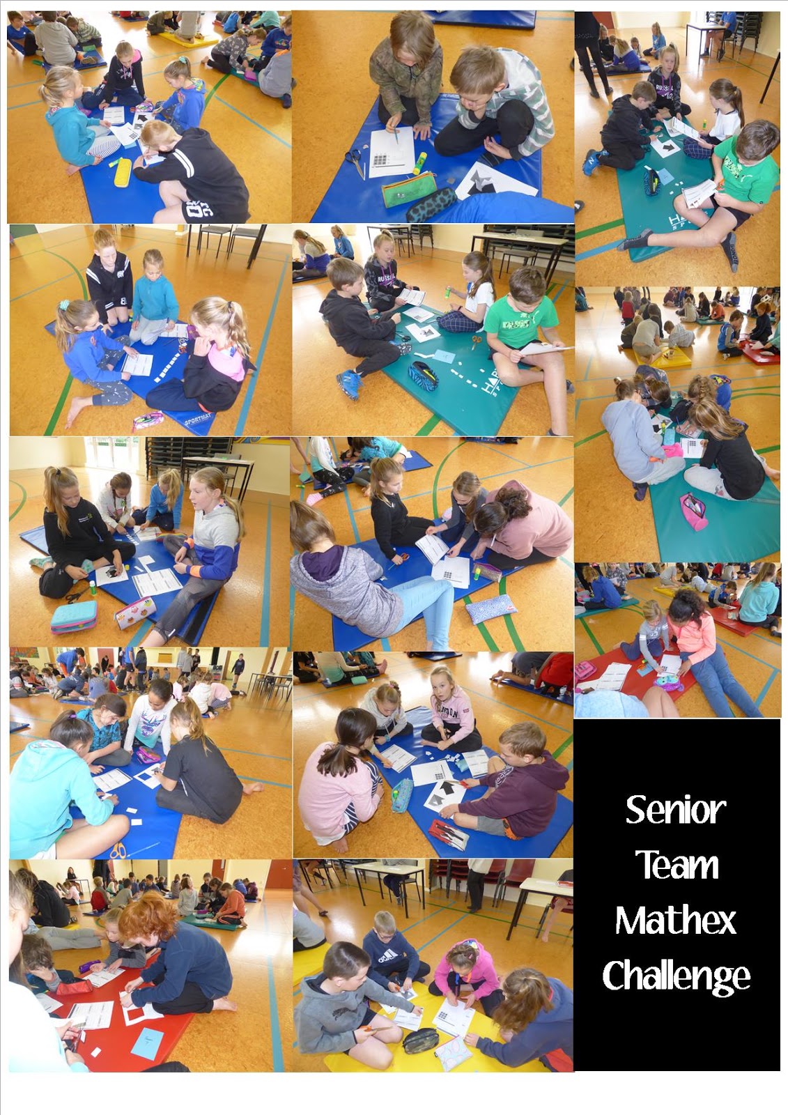 Room 6 Halcombe School 2019: Mathex Challenge