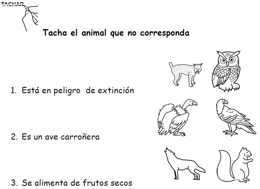 DOLORES NAVAS PÉREZ: Unidad didáctica de "Los animales"