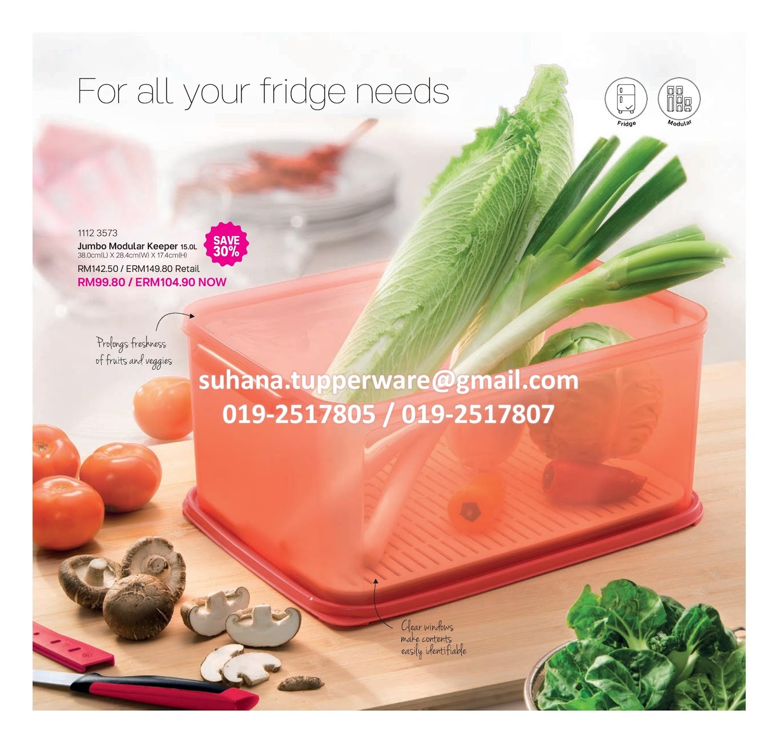Tupperware Brands Malaysia Online | Catalogue | Collection | Business ...