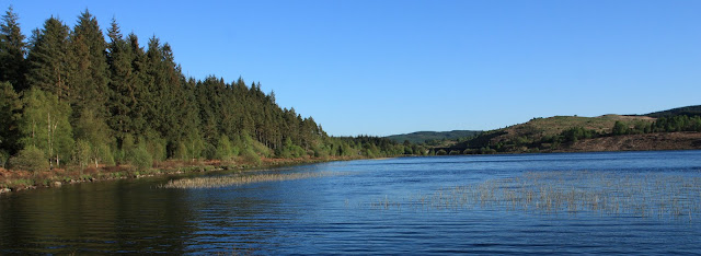 Nature is out there - Hertfordshire and beyond: Threave and Tay Forest Park
