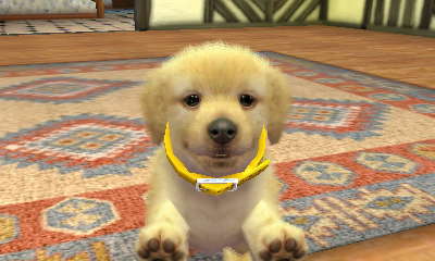 Nintendogs + Cats Golden Retrivier and Friends - USA (RF) .CIA