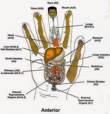 Secrets of Palmistry by Renowned Indian Palmist: Your Palmist Can Guide ...