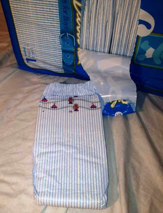 The Diaper Service: Plan A The Waste-to-energy plant (Continued-1)