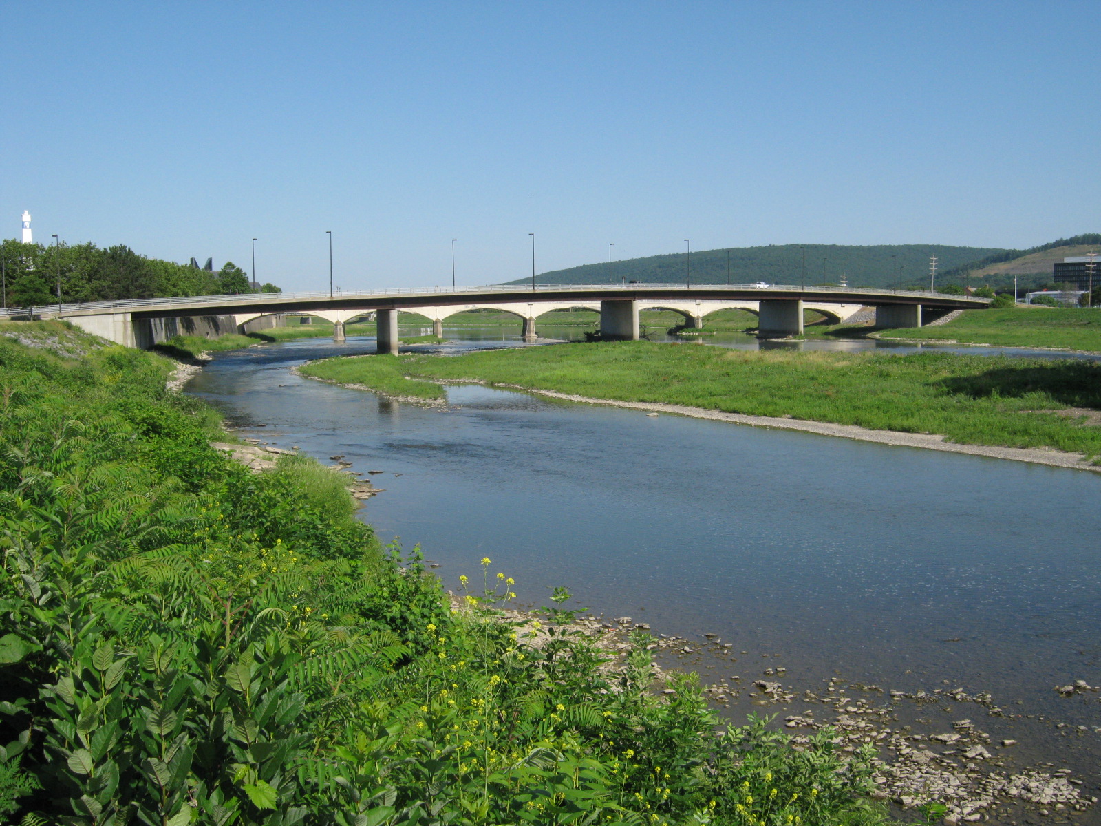Corning NY Step by Step: a Chemung River morning