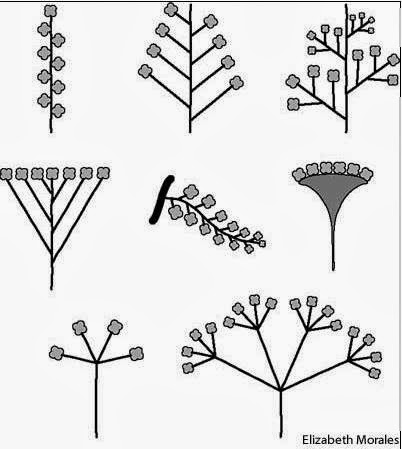 Zee Kraaszie Aorte Blog of Nicola Morton: romantic grasses 2013-2014