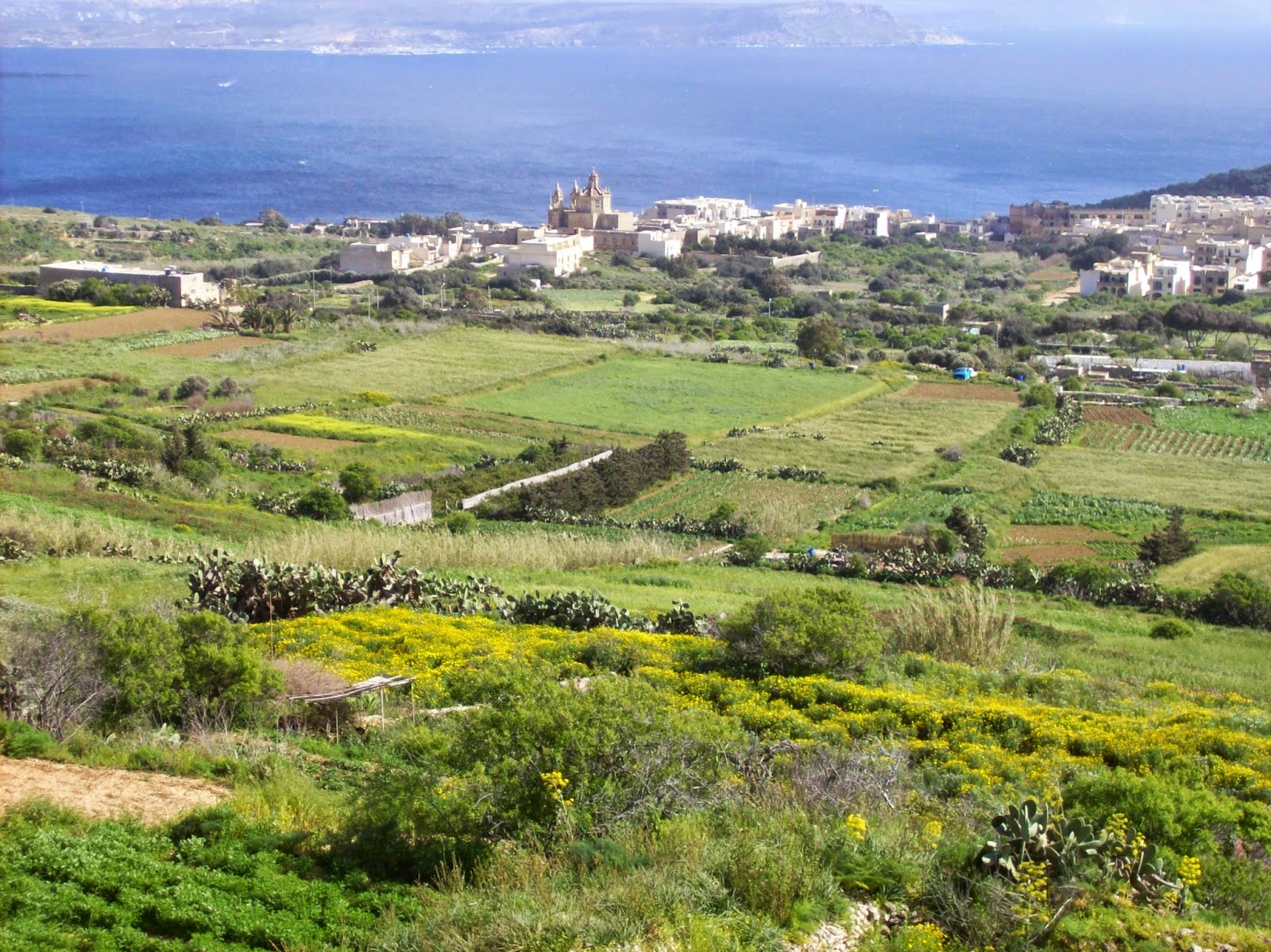 Gojjell,gems to enjoy!: Overseas Adventure.....Maltese Scenery