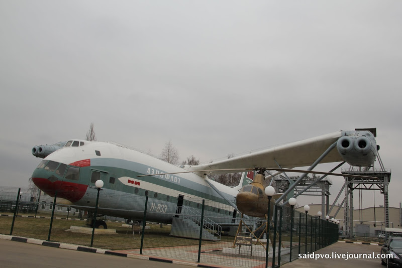 Rusadas: El paritorio de las alas rojas