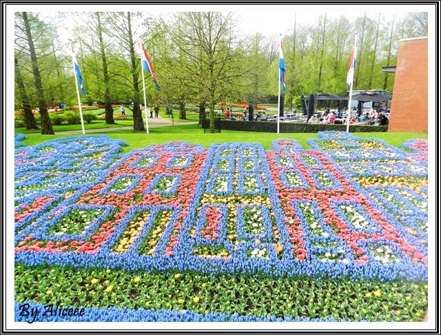 Ziua 4 Gradina Keukenhof - pas cu pas printre rauri de lalele ...