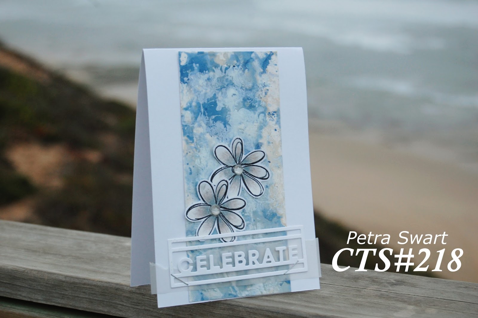 Kaartjie kreatief / Cards creative: FMS#284 and CTS#218