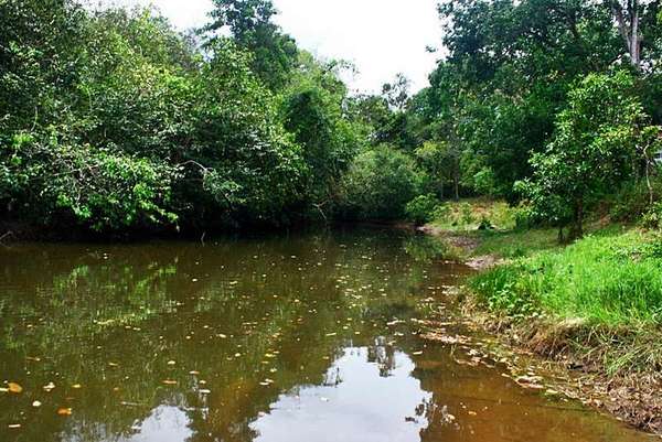 EKOGEO: RAWA : LAHAN BASAH DI MUKA BUMI