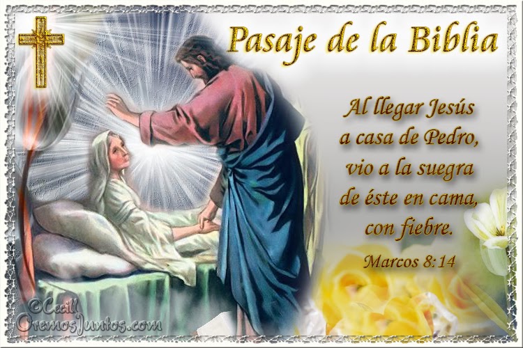 Vidas Santas: Santo Evangelio según san Marcos 8:14