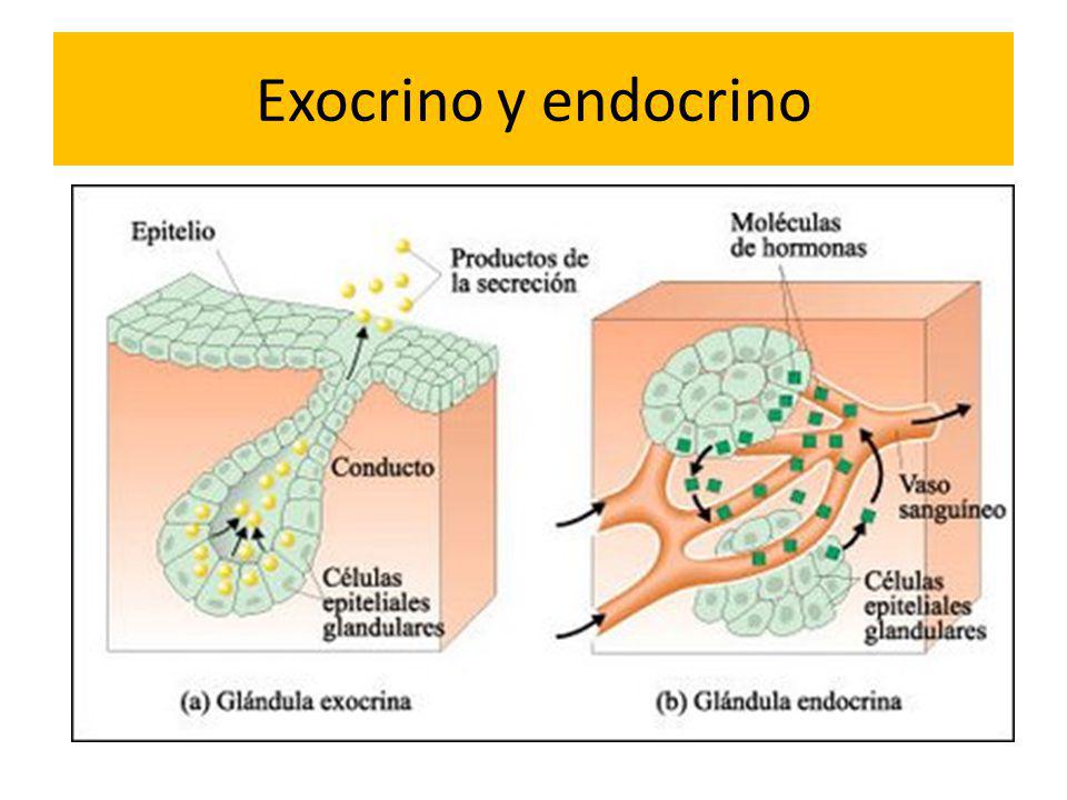 Ciencias de Joseleg: 1 PRINCIPIOS CELULARES DE LA COMUNICACIÓN Y ...