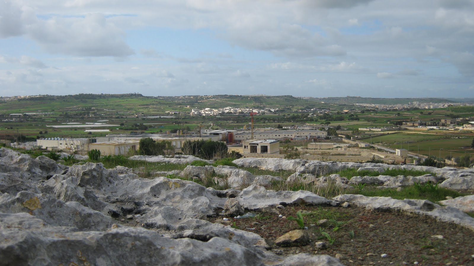 Alex Cassar: Arch1101