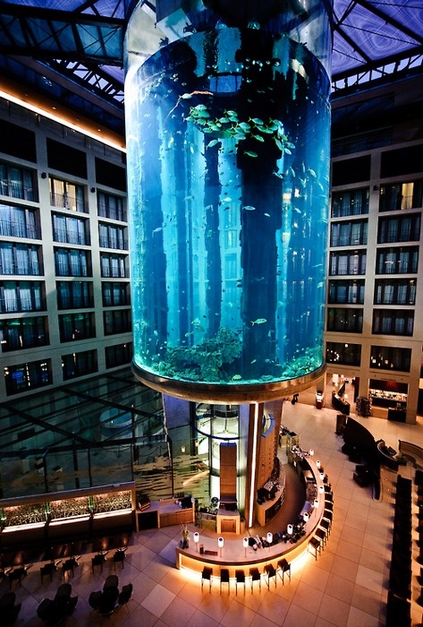 Curiosidades del Mundo: Curiosidades de Berlín: AquaDom el acuario ...